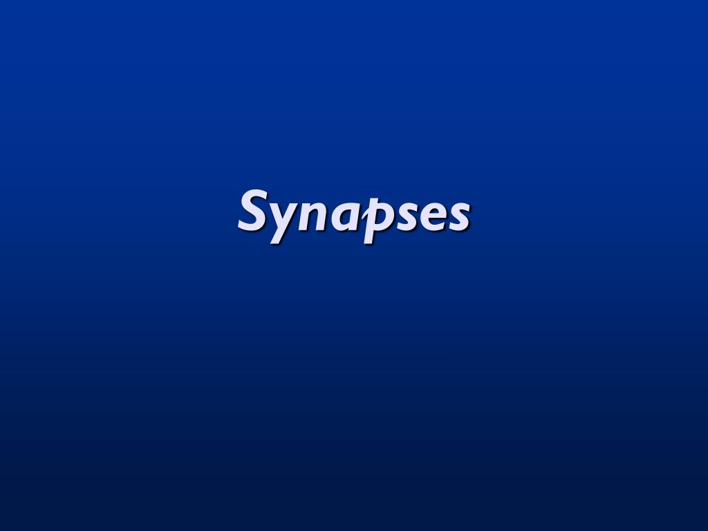 PPT - Synapses PowerPoint Presentation, free download - ID:4150060