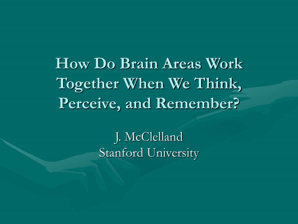 PPT - Cooperative Brain Areas: Unveiling How the Brain Works Together ...