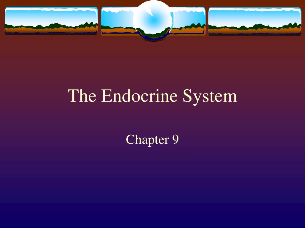PPT - The Endocrine System PowerPoint Presentation, free download - ID ...