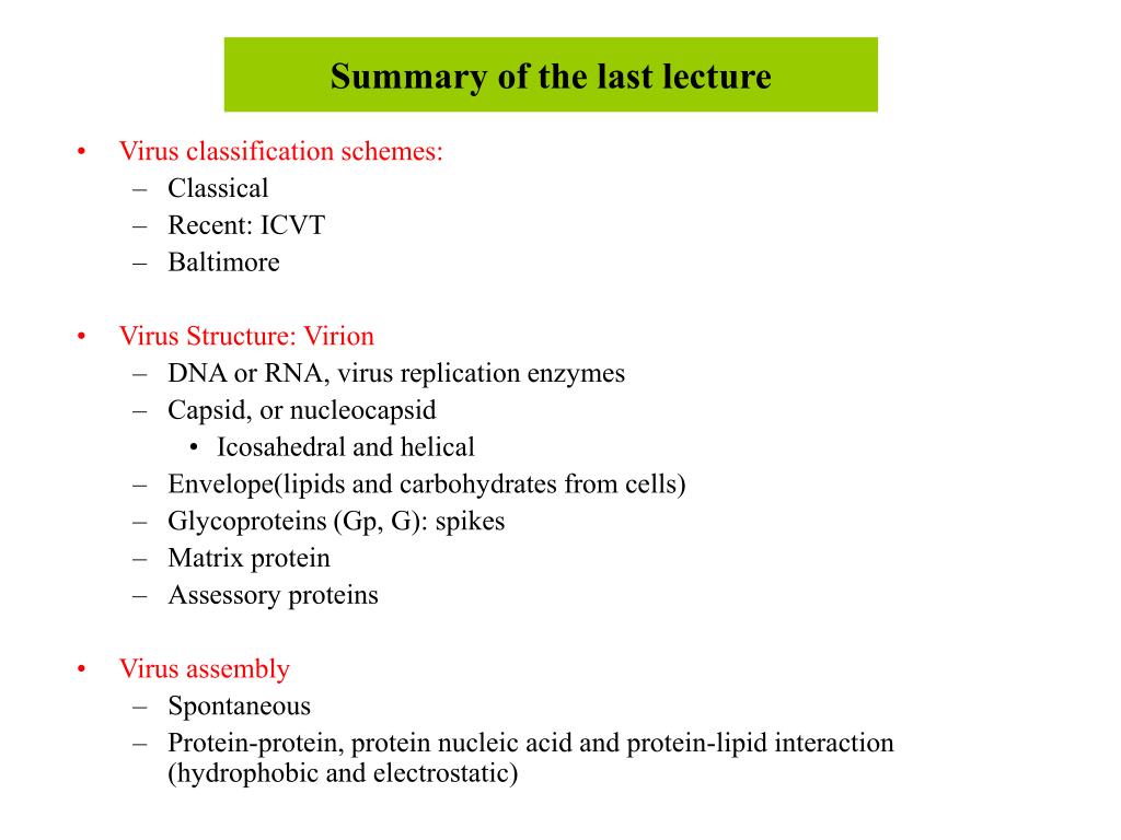 PPT - Summary of the last lecture PowerPoint Presentation, free ...