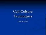 PPT - Cell Culture PowerPoint Presentation, free download - ID:8819291