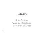 PPT - Taxonomy (Classification) PowerPoint Presentation, free download ...