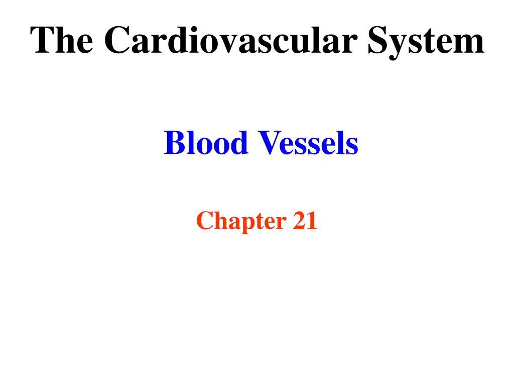 PPT - Blood Vessels PowerPoint Presentation, free download - ID:4167167