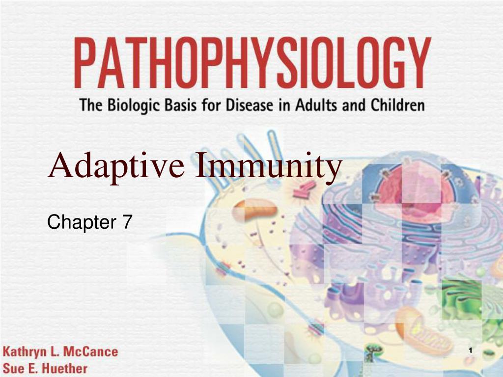 PPT - Adaptive Immunity PowerPoint Presentation, free download - ID:4167571