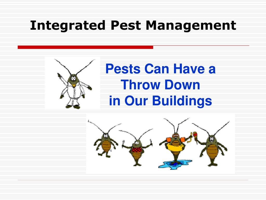 PPT - Integrated Pest Management PowerPoint Presentation, free download ...