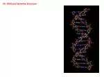 PPT - Genome Structure PowerPoint Presentation, free download - ID:3042325