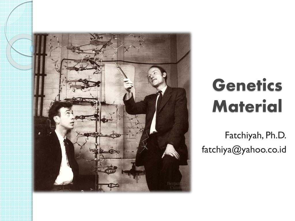 PPT - Genetics Material PowerPoint Presentation, free download - ID:4169823