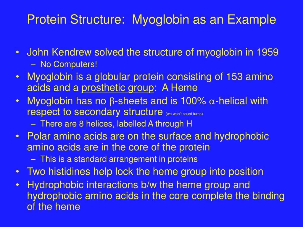 PPT - Protein Structure: Myoglobin as an Example PowerPoint ...