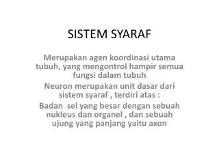 PPT - SISTEM SYARAF PowerPoint Presentation, free download - ID:4169992