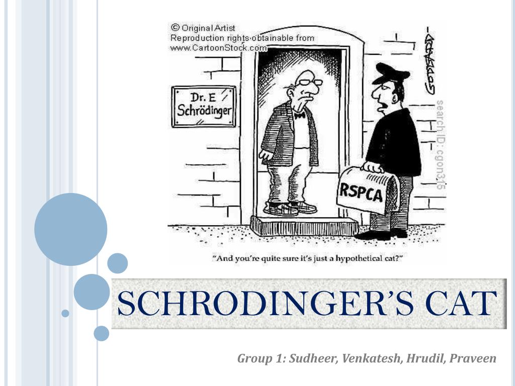 PPT - SCHRODINGER’S CAT PowerPoint Presentation, free download - ID:4170633