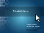 PPT - Enterobacteriaceae PowerPoint Presentation, free download - ID ...