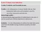 PPT - Urinary Tract Infection PowerPoint Presentation, free download ...