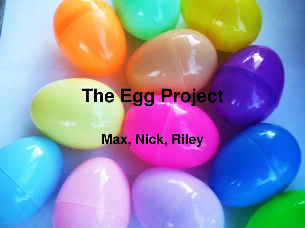 PPT - The Egg Project PowerPoint Presentation, free download - ID:4175900