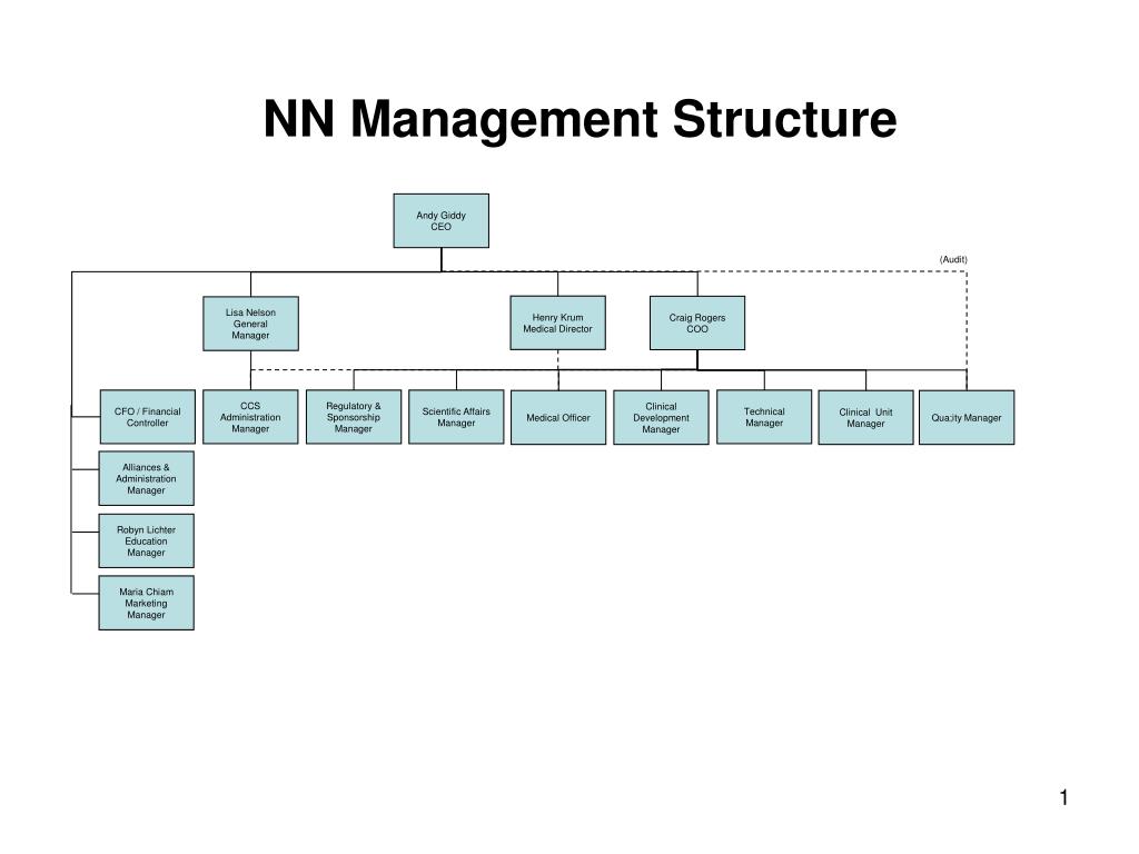 PPT - NN Management Structure PowerPoint Presentation, free download ...