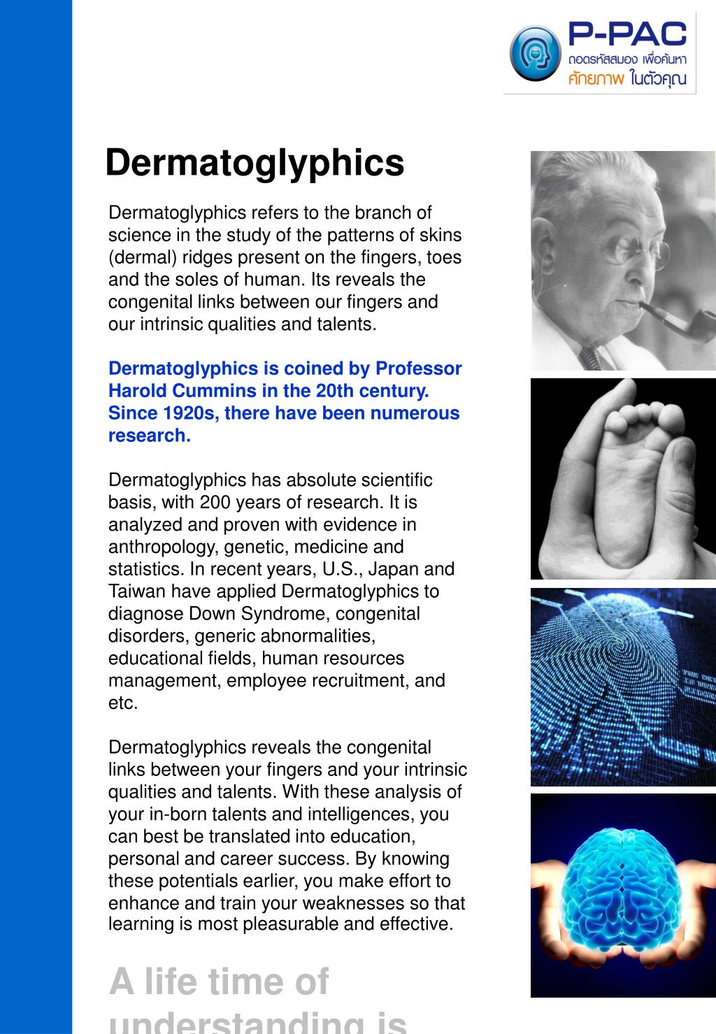 PPT - Dermatoglyphics PowerPoint Presentation, free download - ID:4185141