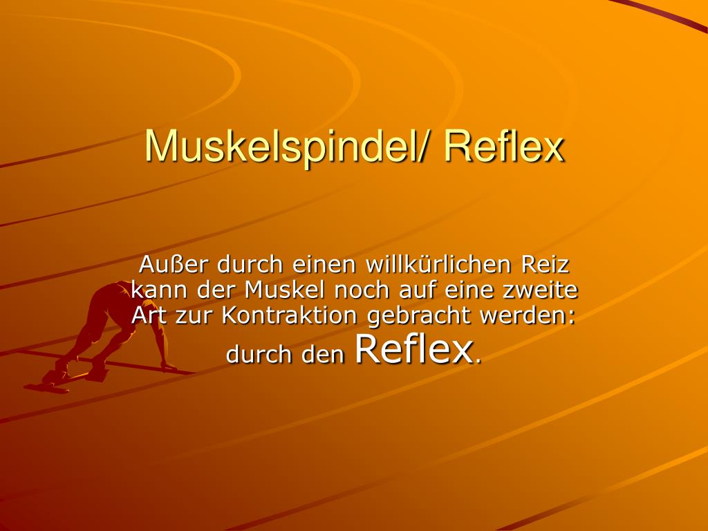 PPT - Muskelspindel/ Reflex PowerPoint Presentation, free download - ID ...