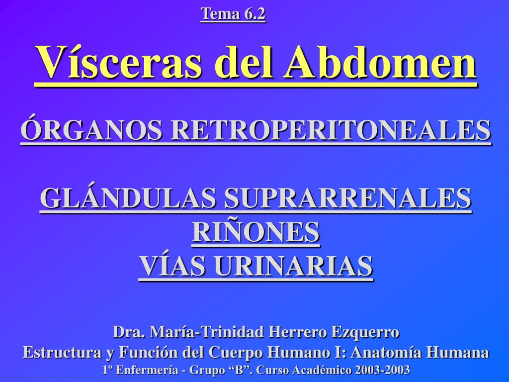 PPT - Vísceras del Abdomen ÓRGANOS RETROPERITONEALES GLÁNDULAS ...