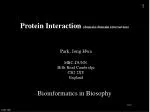 PPT - Protein Interaction Networks PowerPoint Presentation, free ...