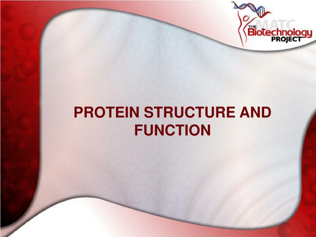 PPT - PROTEIN STRUCTURE AND FUNCTION PowerPoint Presentation, free ...