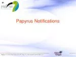 PPT - The making of Egyptian Papyrus PowerPoint Presentation, free download - ID:1946201