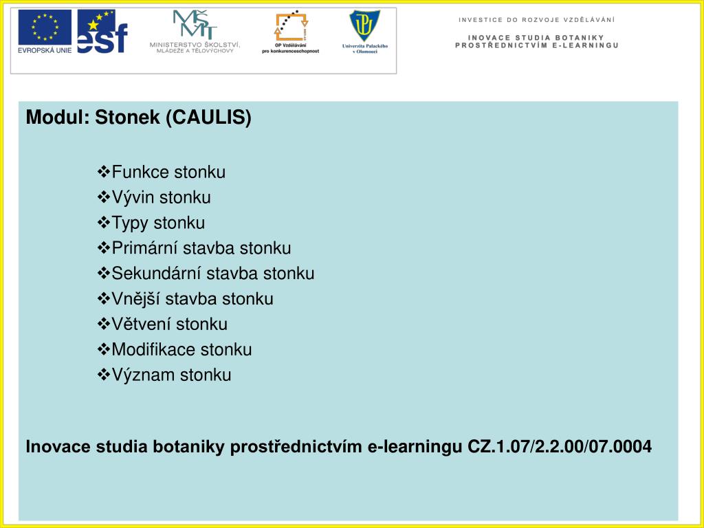 PPT - Modul: Stonek (CAULIS) Funkce stonku Vývin stonku Typy stonku ...