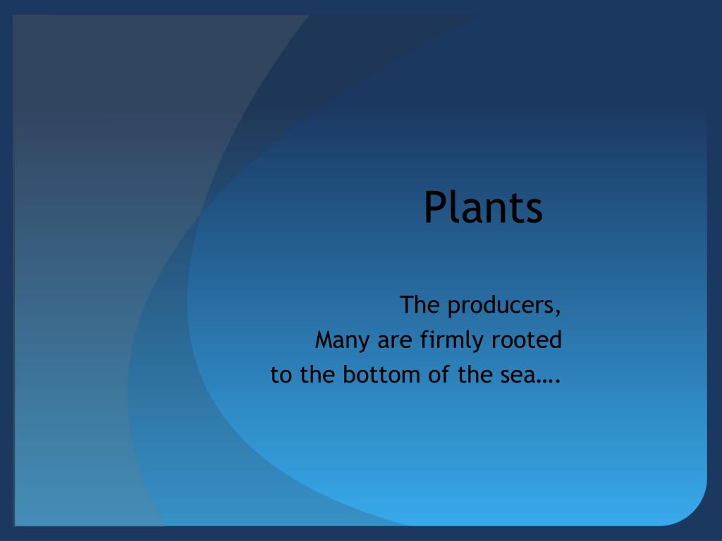 PPT - Plants PowerPoint Presentation, free download - ID:4196476