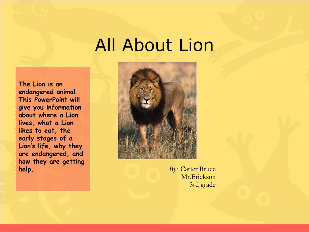 PPT - All About Lion PowerPoint Presentation, free download - ID:4196749