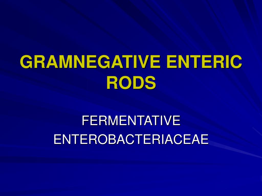 PPT - GRAMNEGATIVE ENTERIC RODS PowerPoint Presentation, free download ...