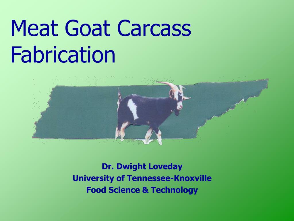 PPT - Meat Goat Carcass Fabrication PowerPoint Presentation, free ...