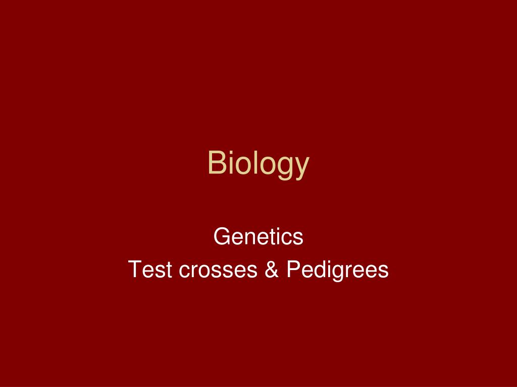 PPT - Understanding Test Crosses and Pedigrees in Genetics PowerPoint ...