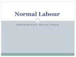 PPT - NORMAL LABOUR PowerPoint Presentation, free download - ID:9281033