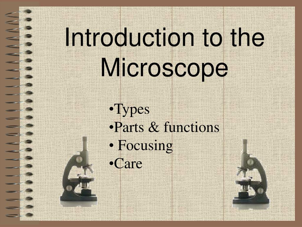PPT - Introduction to the Microscope PowerPoint Presentation, free ...