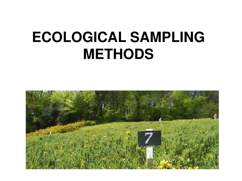PPT - ECOLOGICAL SAMPLING METHODS PowerPoint Presentation, free download - ID:4206818