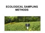 PPT - Ecological Sampling PowerPoint Presentation, free download - ID ...