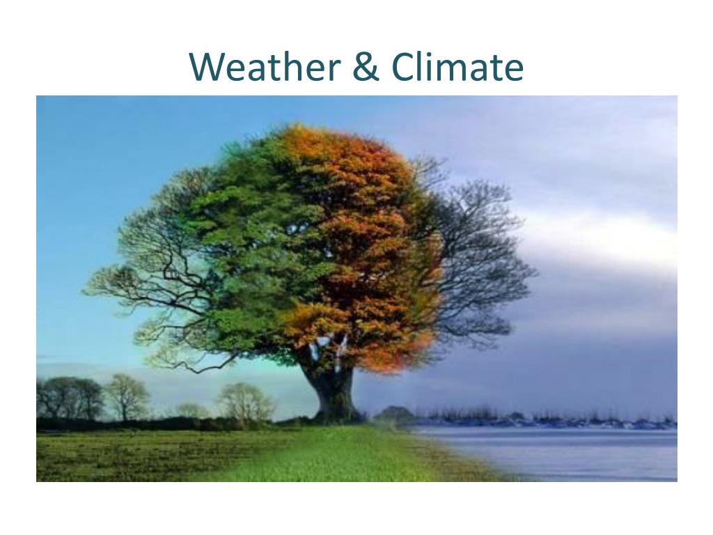 PPT - Weather & Climate PowerPoint Presentation, free download - ID:4213898