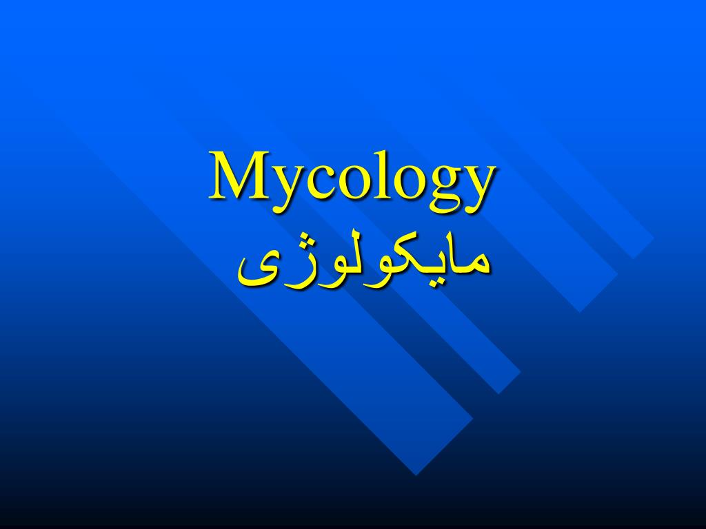 PPT - Mycology مایکولوژی PowerPoint Presentation, free download - ID ...