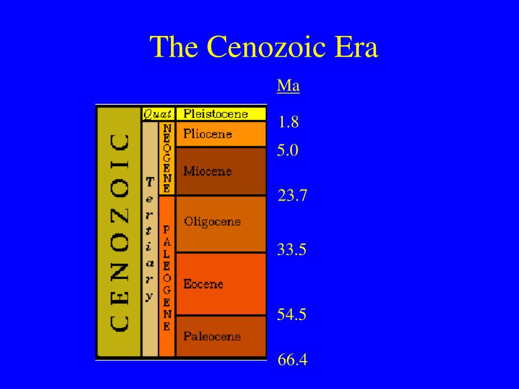 PPT - The Cenozoic Era PowerPoint Presentation, free download - ID:4216166