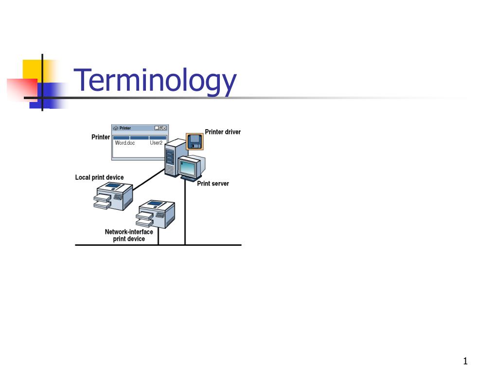 PPT - Terminology PowerPoint Presentation, free download - ID:4216229