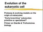 PPT - The Role of the Endomembrane System in the Evolution of ...