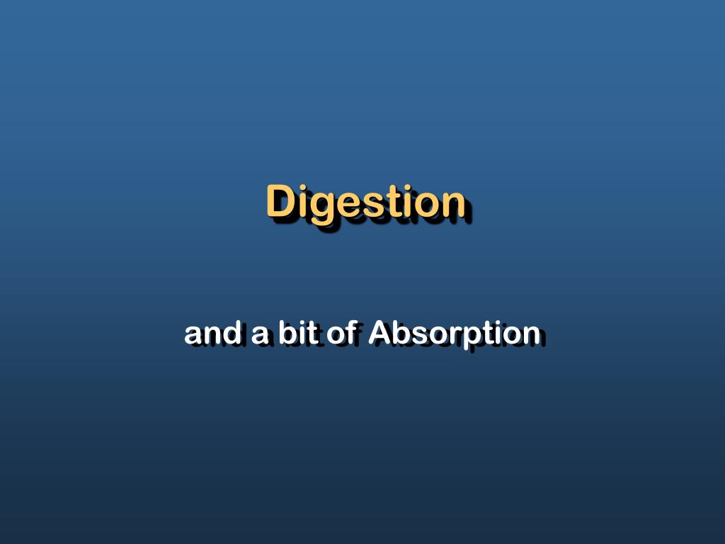 PPT - Digestion PowerPoint Presentation, free download - ID:4221934