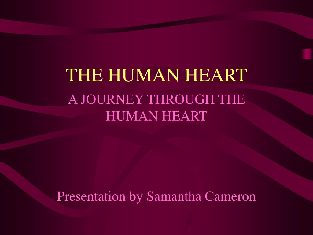 PPT - THE HUMAN HEART PowerPoint Presentation, free download - ID:4225912