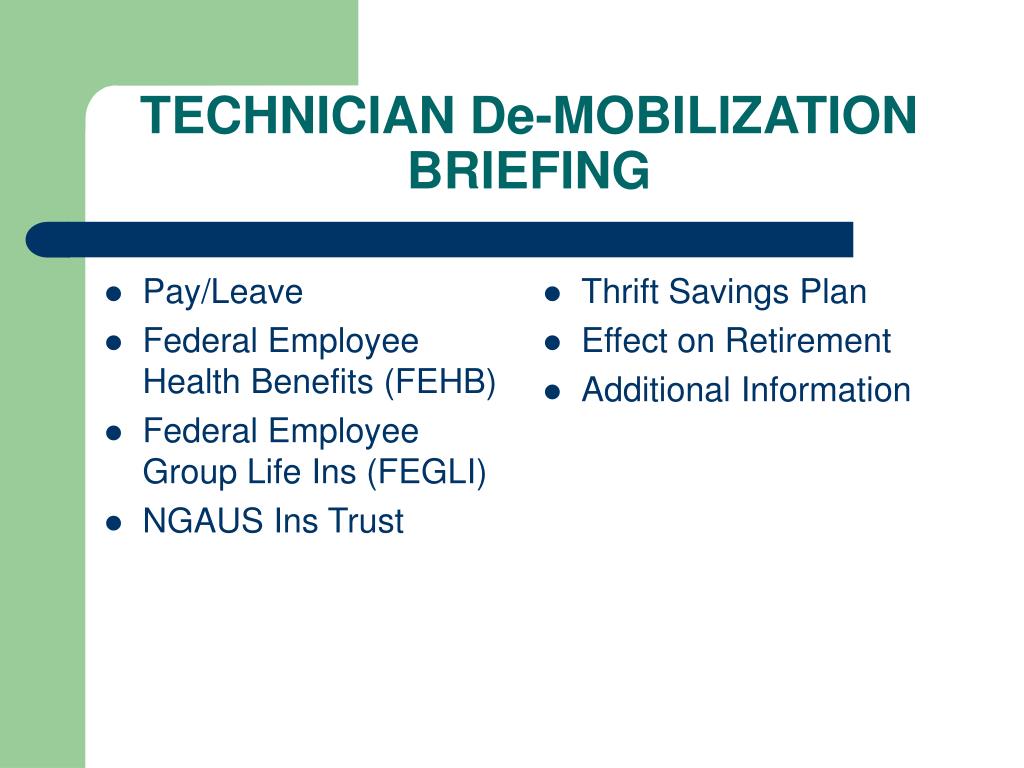 PPT - TECHNICIAN De-MOBILIZATION BRIEFING PowerPoint Presentation, free ...