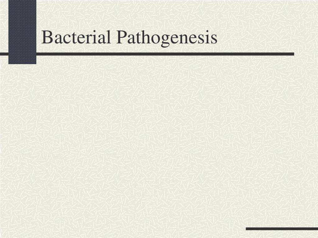 PPT - Bacterial Pathogenesis PowerPoint Presentation, free download ...