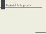 PPT - PATHOGENESIS OF BACTERIAL INFECTION PowerPoint Presentation, free ...