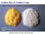 PPT - Golden Rice technology PowerPoint Presentation, free download ...