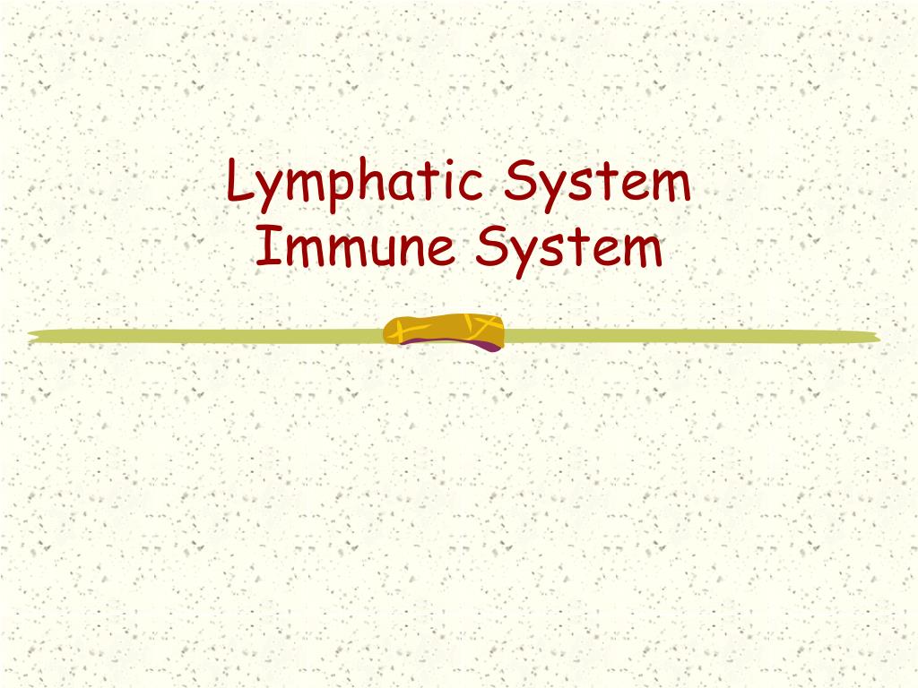 PPT - Lymphatic System Immune System PowerPoint Presentation, free ...
