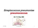 PPT - Streptococcus pneumoniae pneumococus PowerPoint Presentation ...