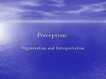 PPT - Perception PowerPoint Presentation, free download - ID:1432134