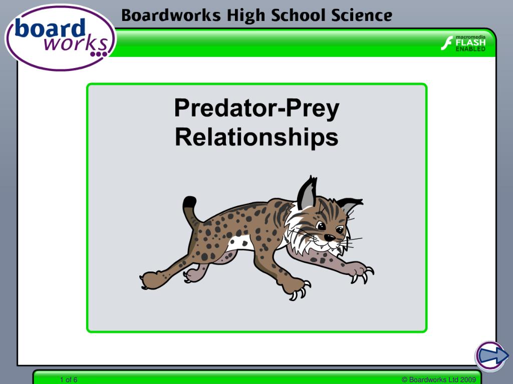 PPT - Predators and prey PowerPoint Presentation, free download - ID ...
