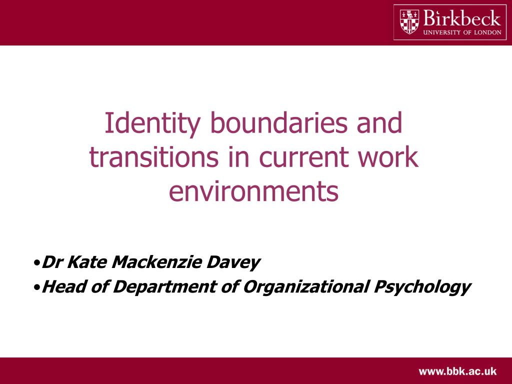 PPT - Identity boundaries and transitions in current work environments ...